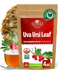 Uva Ursi herbal tea benefits