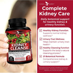 Uva Ursi kidney health support