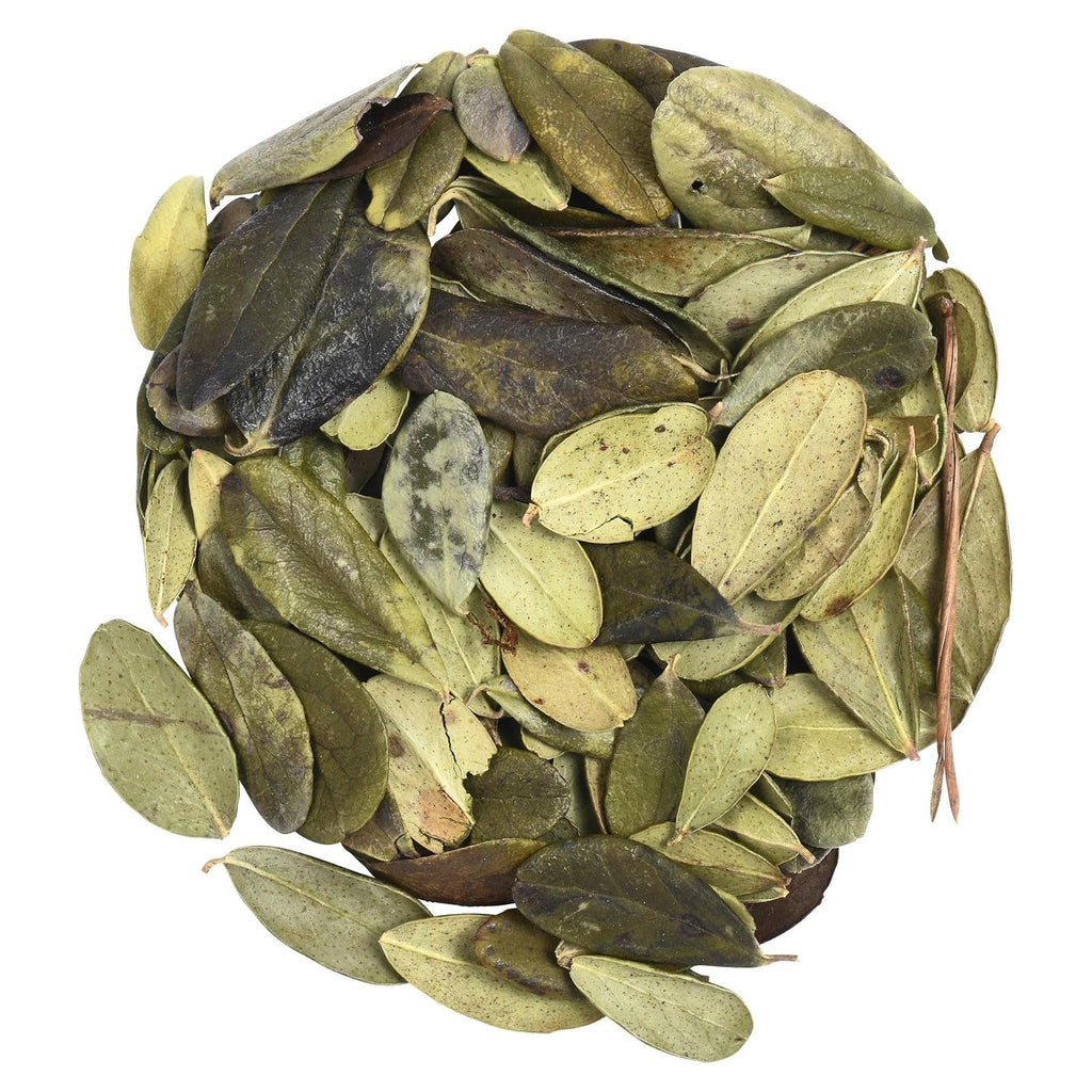 Uva Ursi leaves for digestive health
