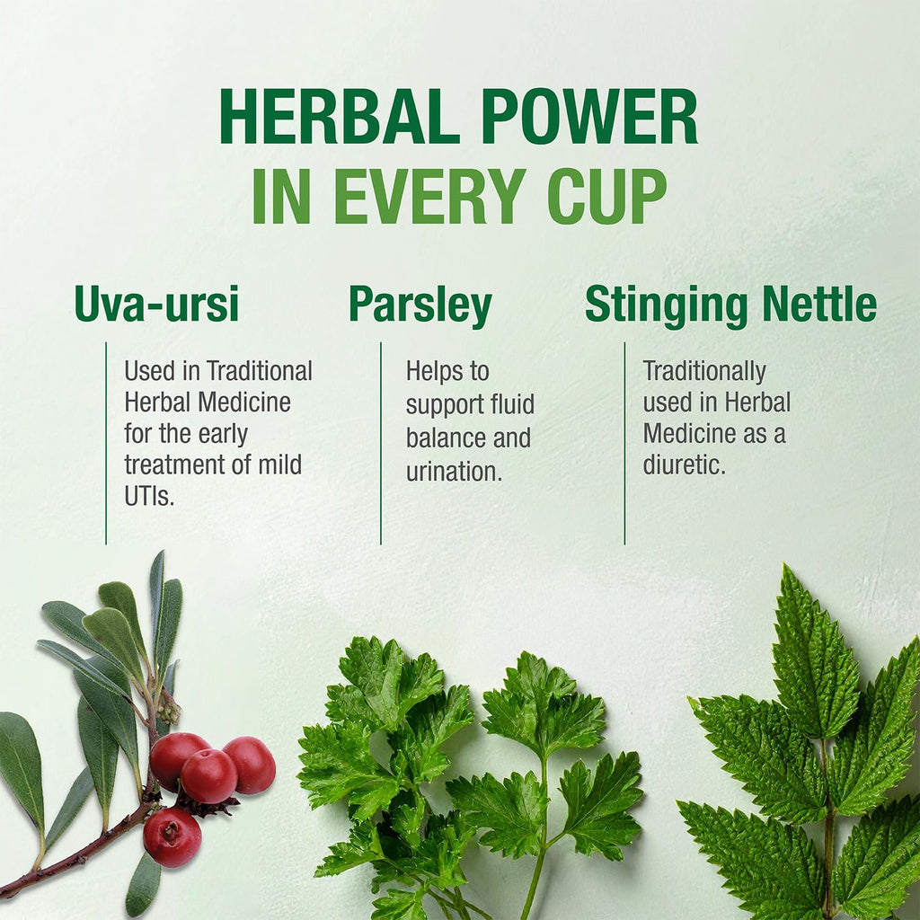 Uva-Ursi & Nettle detox tea blend