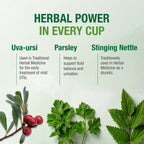 Uva-Ursi & Nettle detox tea blend