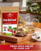 Uva Ursi tea for digestion