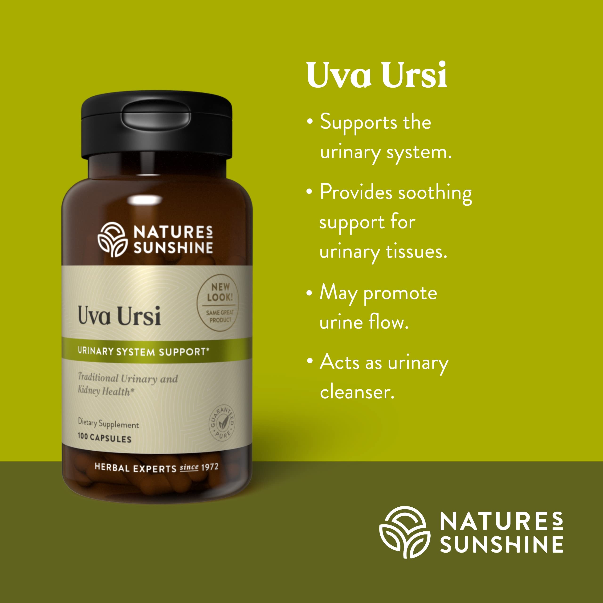 Uva Ursi vitamins for holistic health