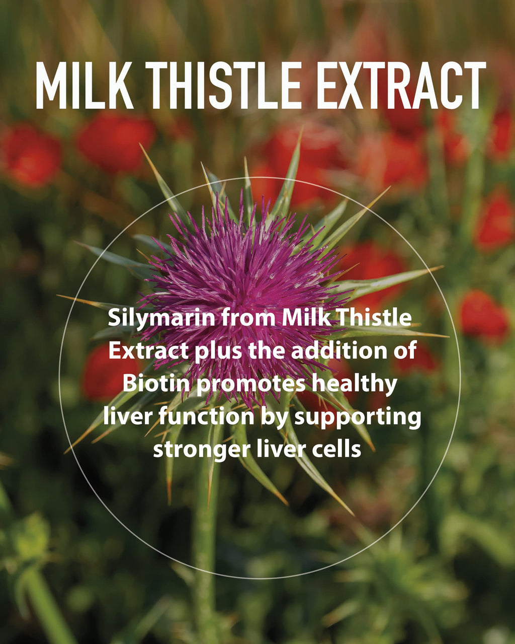 uvora milk thistle 1000mg tablets