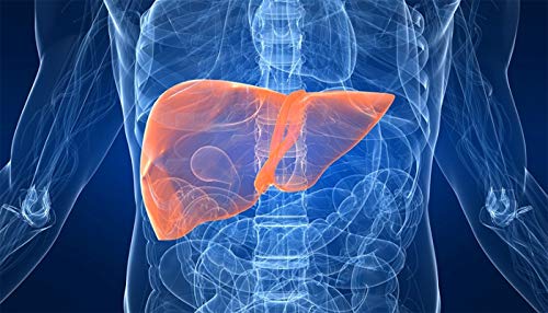Uvora milk thistle for fatty liver