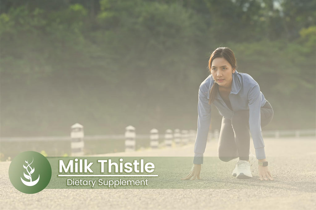 uvora milk thistle for optimal liver care