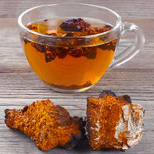 vacuum sealed chaga mushroom pieces