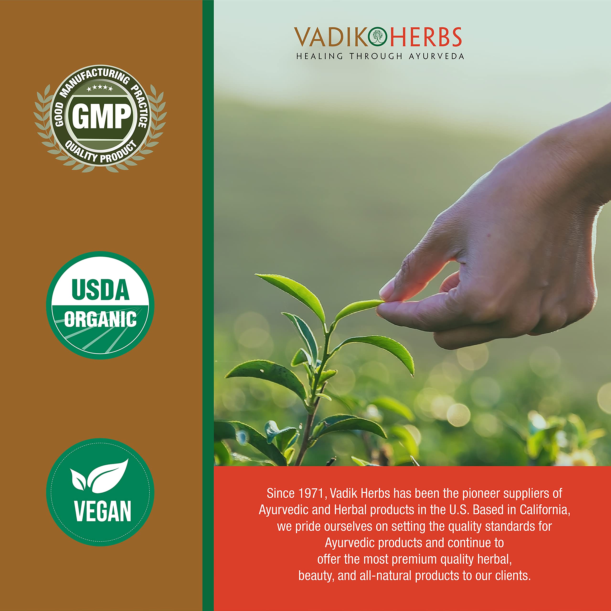 Vadik Herbs Kutaj for everyday vitality