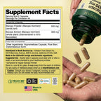 VAHDAM Bacopa Monnieri cognitive support