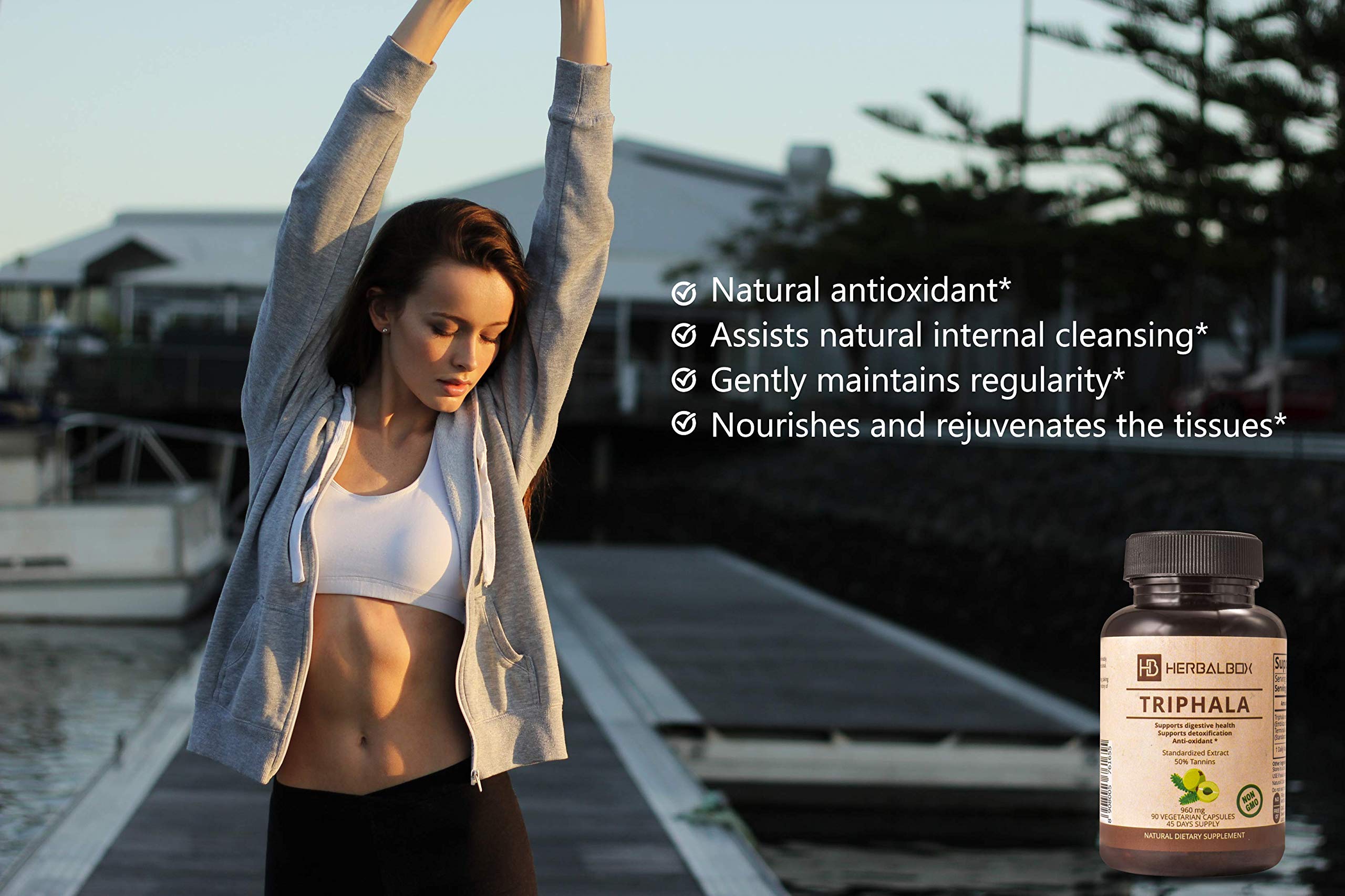 Vaidban triphala for natural energy