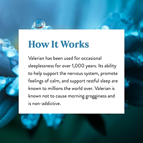 valerian capsules for daily stress management