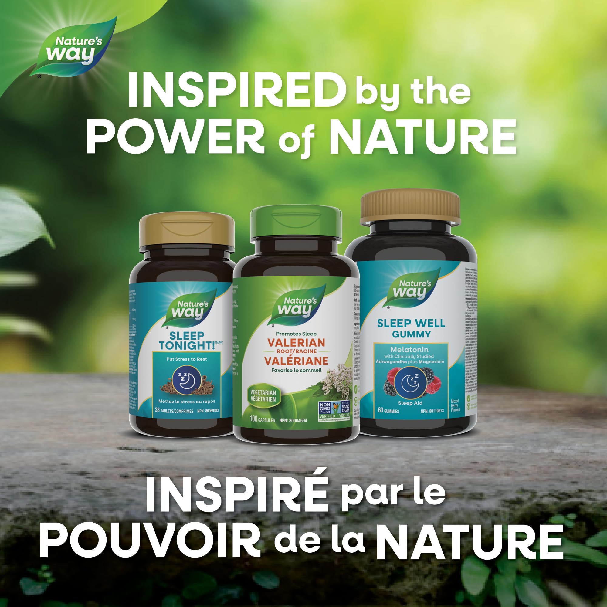 valerian capsules for holistic wellness