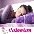 valerian capsules for stress relief