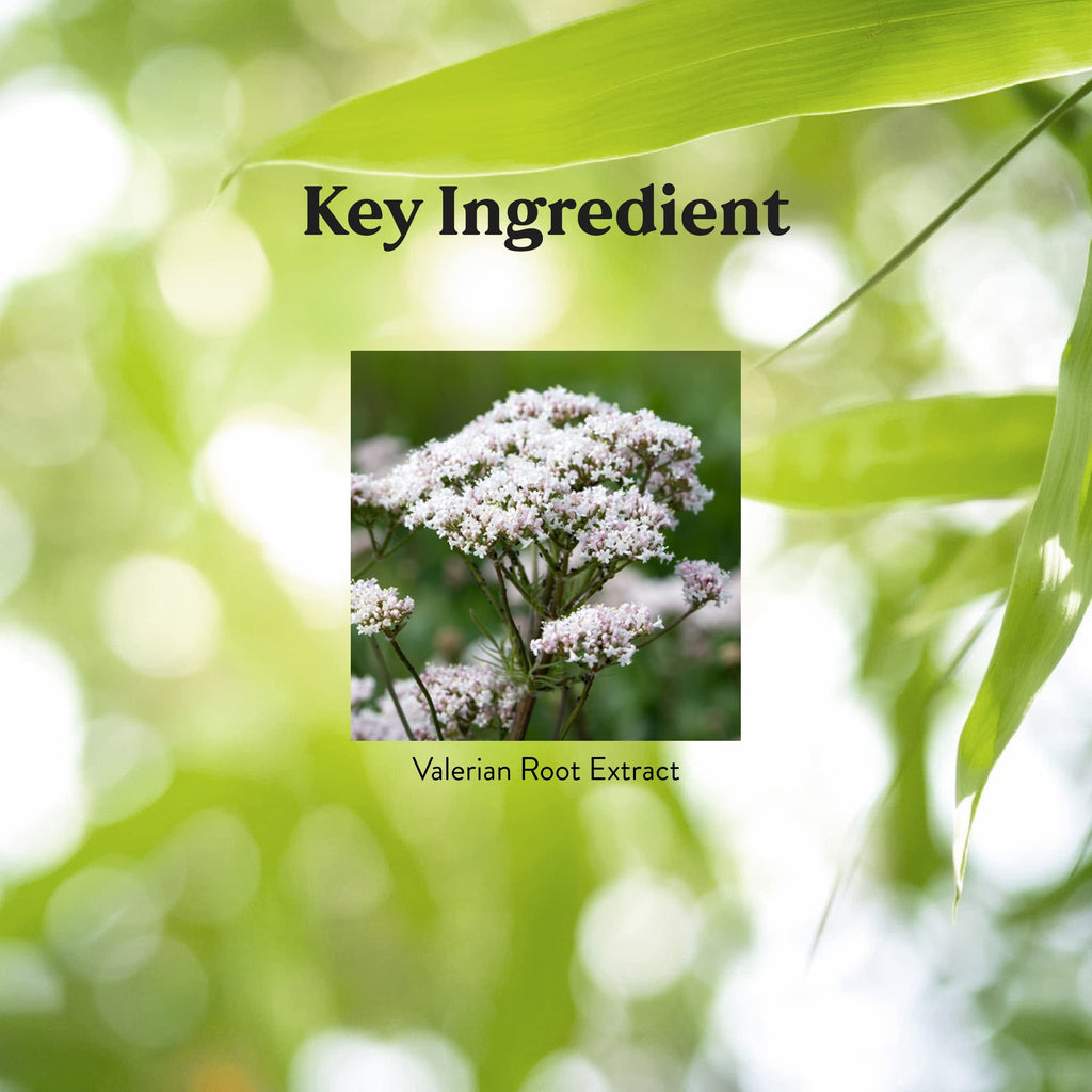 valerian extract for better sleep quality