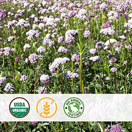 valerian extract for relaxation