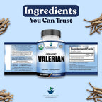 valerian herbal remedy for insomnia