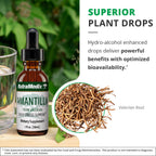 Valerian root extract 1 oz bottle