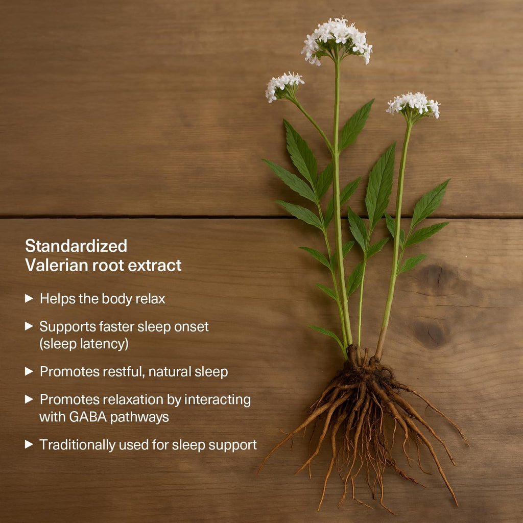 valerian root extract for anxiety relief