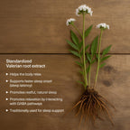 valerian root extract for anxiety relief