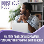 valerian root extract for relaxation
