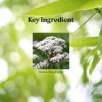 valerian root extract for stress relief