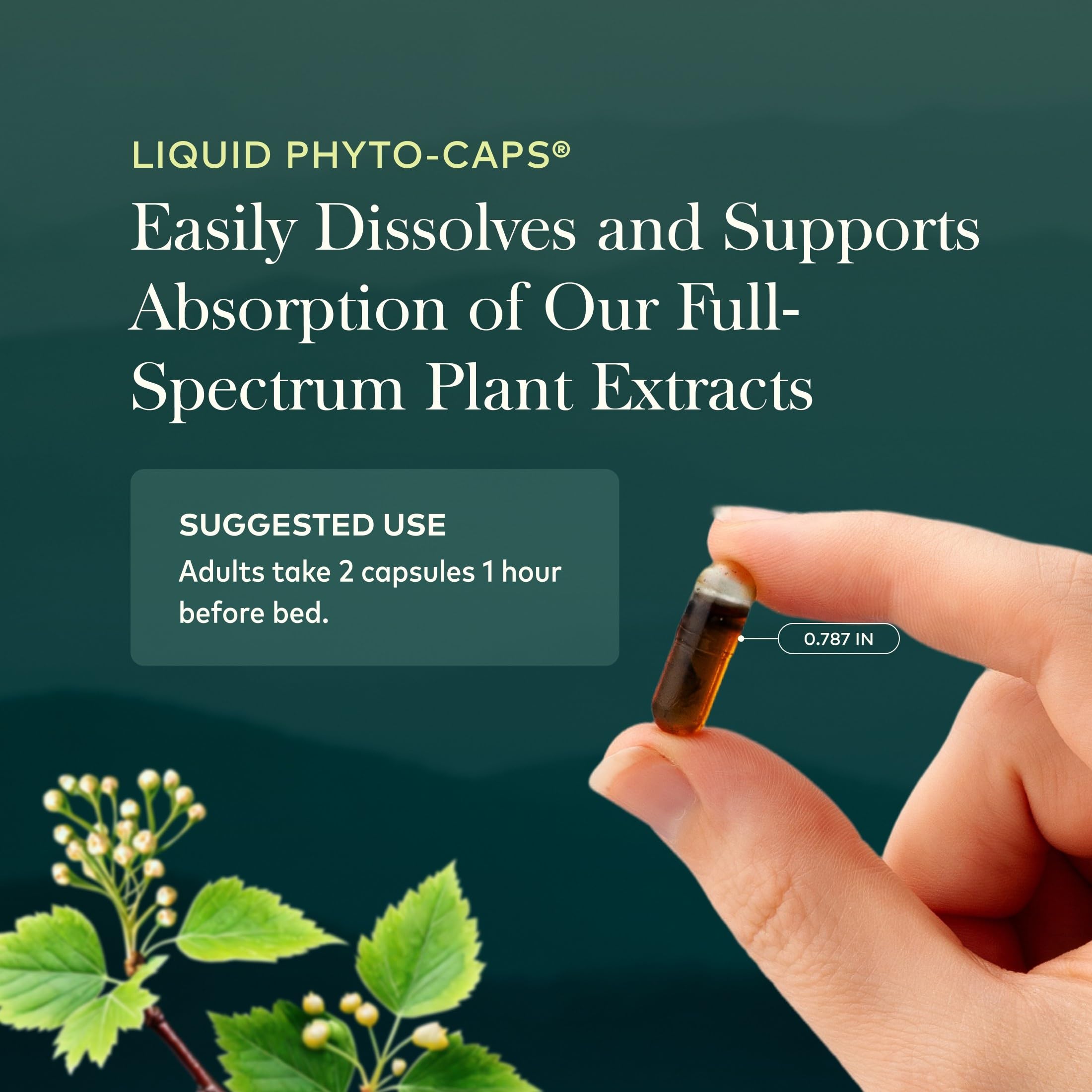 valerian root for improved sleep quality