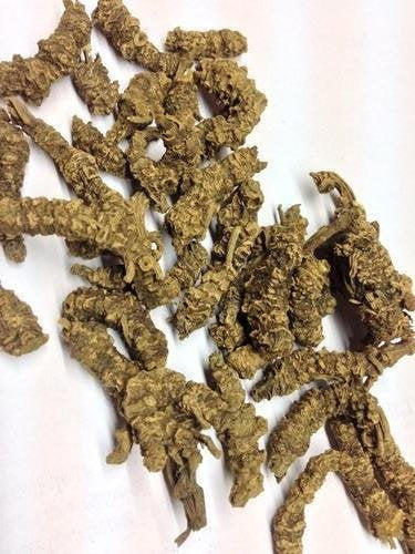 valerian root for natural relaxation