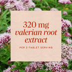 valerian root for relaxation support