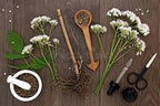 valerian root for relaxation