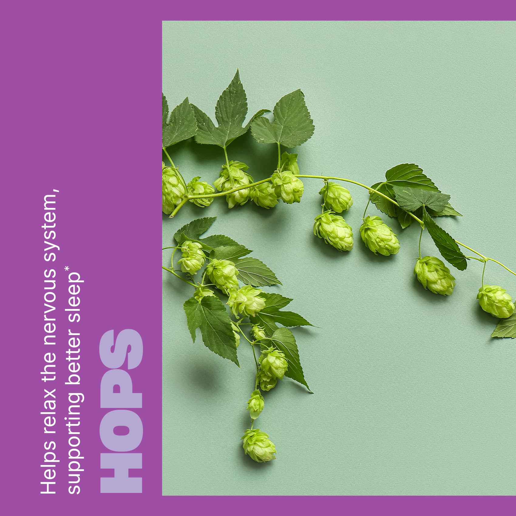 valerian root for stress relief