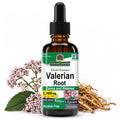 valerian root herbal supplement benefits