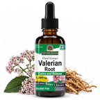valerian root herbal supplement benefits