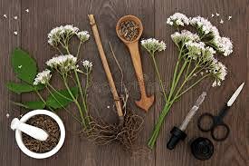 valerian root powder for sleep aid