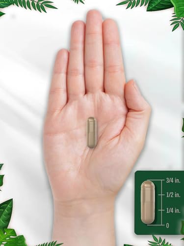 valerian root supplement for holistic wellness
