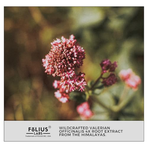 valerian root supplement for wellness