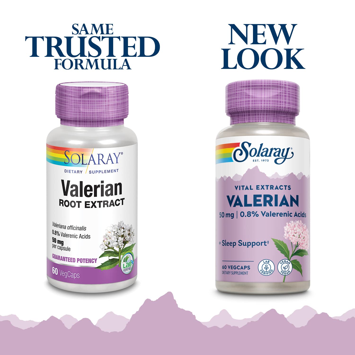 valerian root support for stress relief