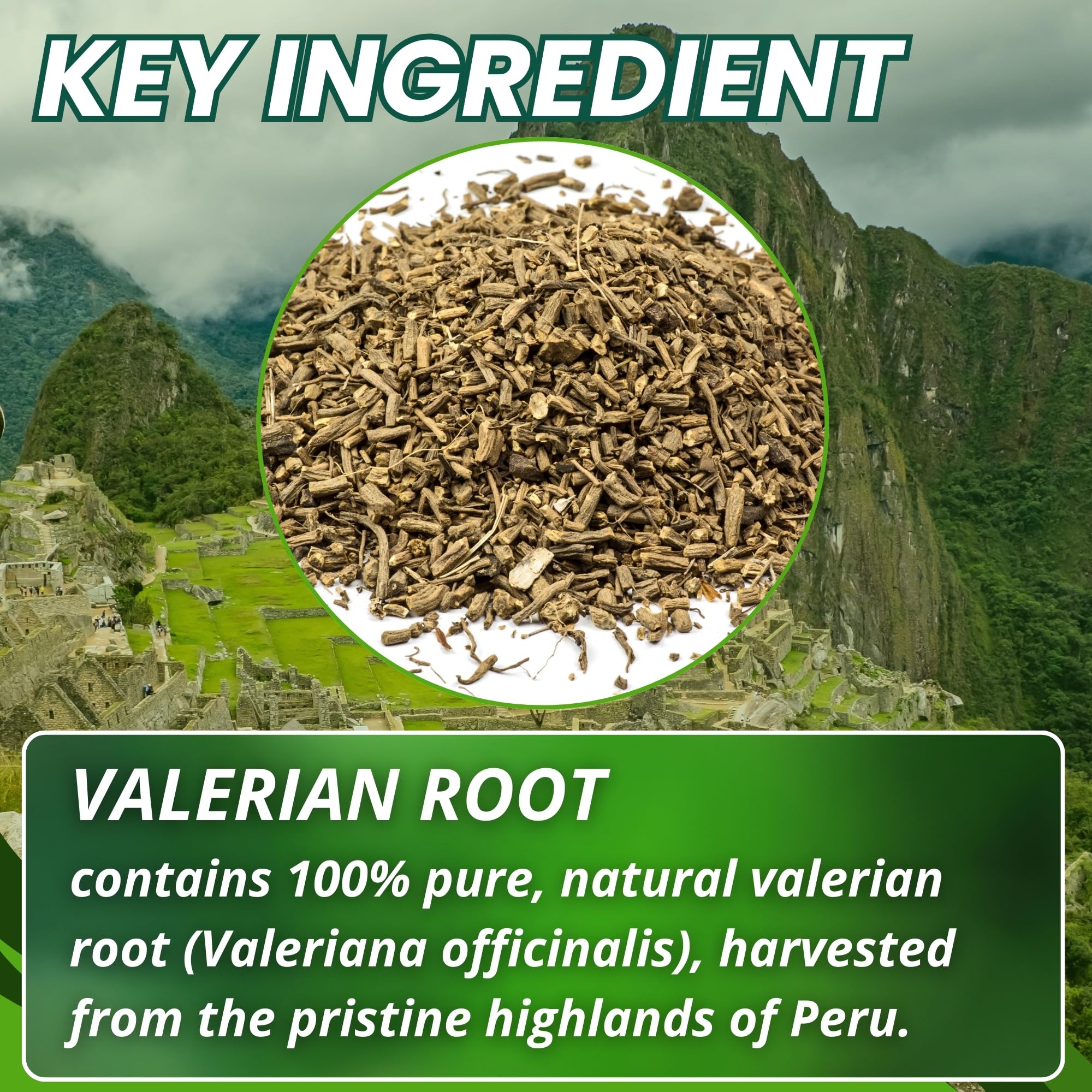 valerian supplement for restful nights