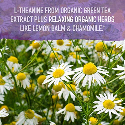 valerian tablets for nighttime calm