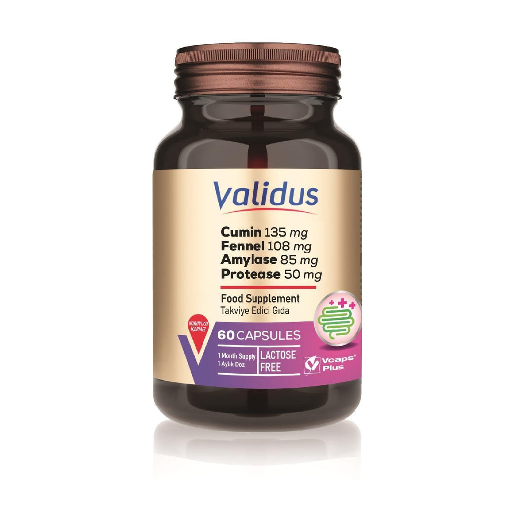 VALIDUS Digestive Comfort for gut health
