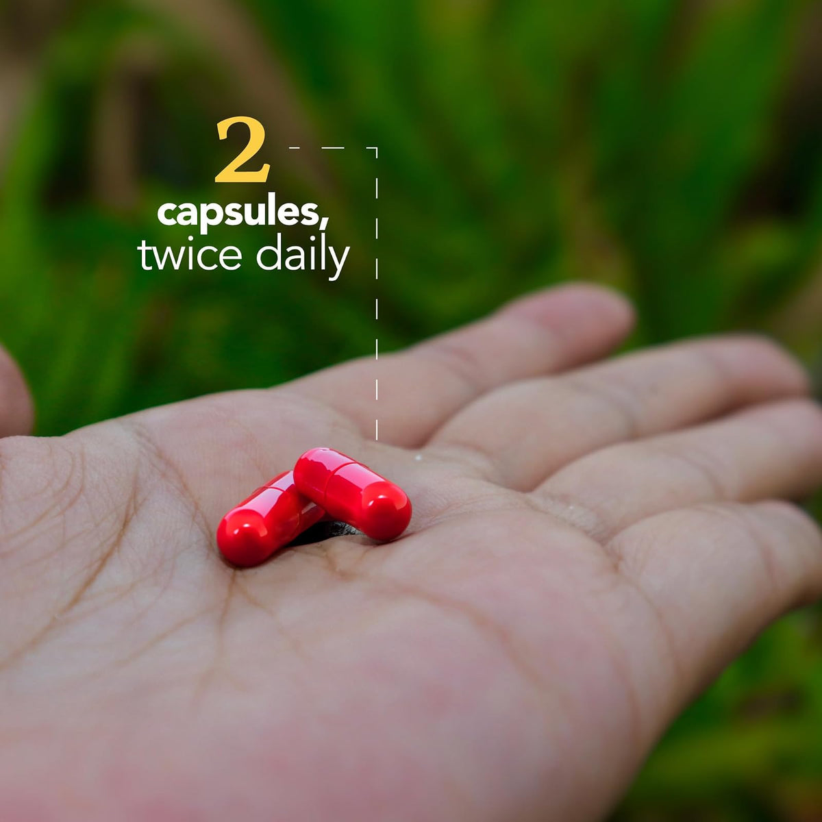 Vall-Hepalive detox support capsules