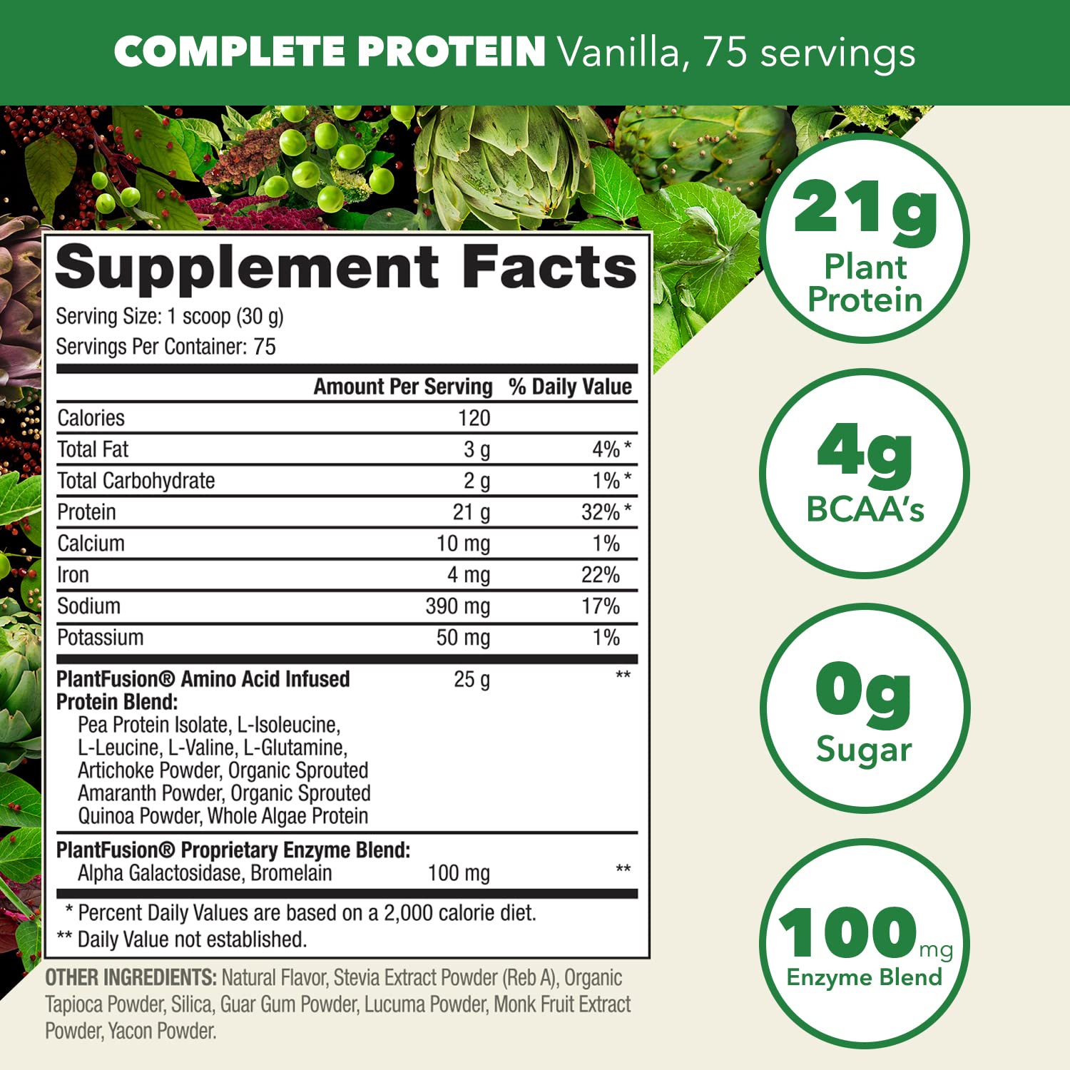 Vanilla bean plant protein blend