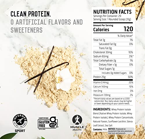 vanilla bean protein for muscle recovery