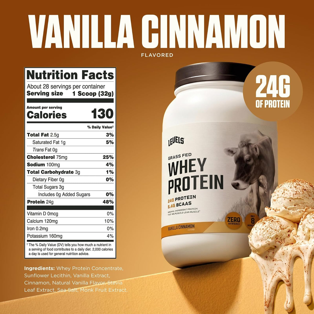 vanilla cinnamon protein powder benefits