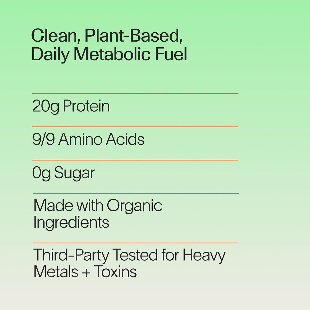 vanilla cinnamon protein supplement