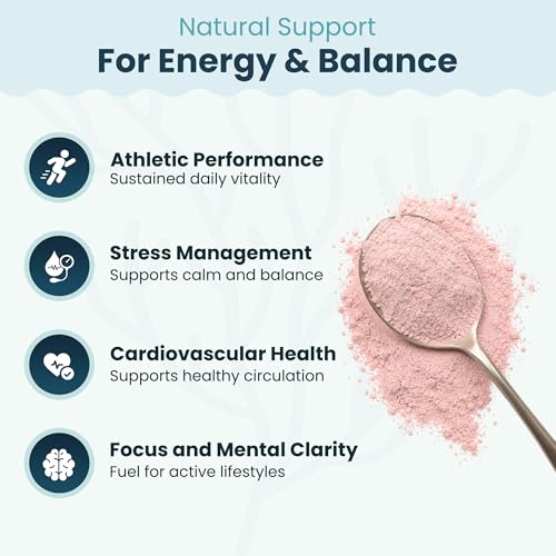 vanilla flavored superfood blend