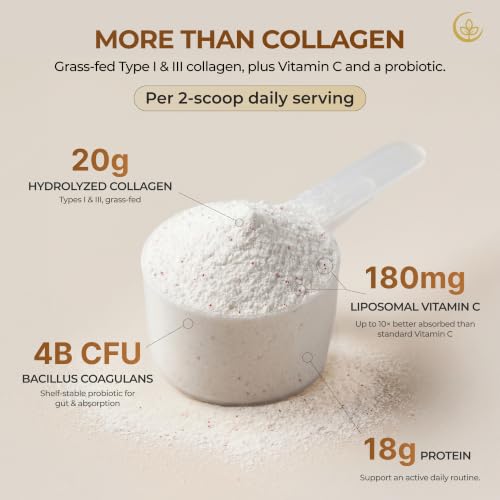 Vanilla flavour collagen supplement