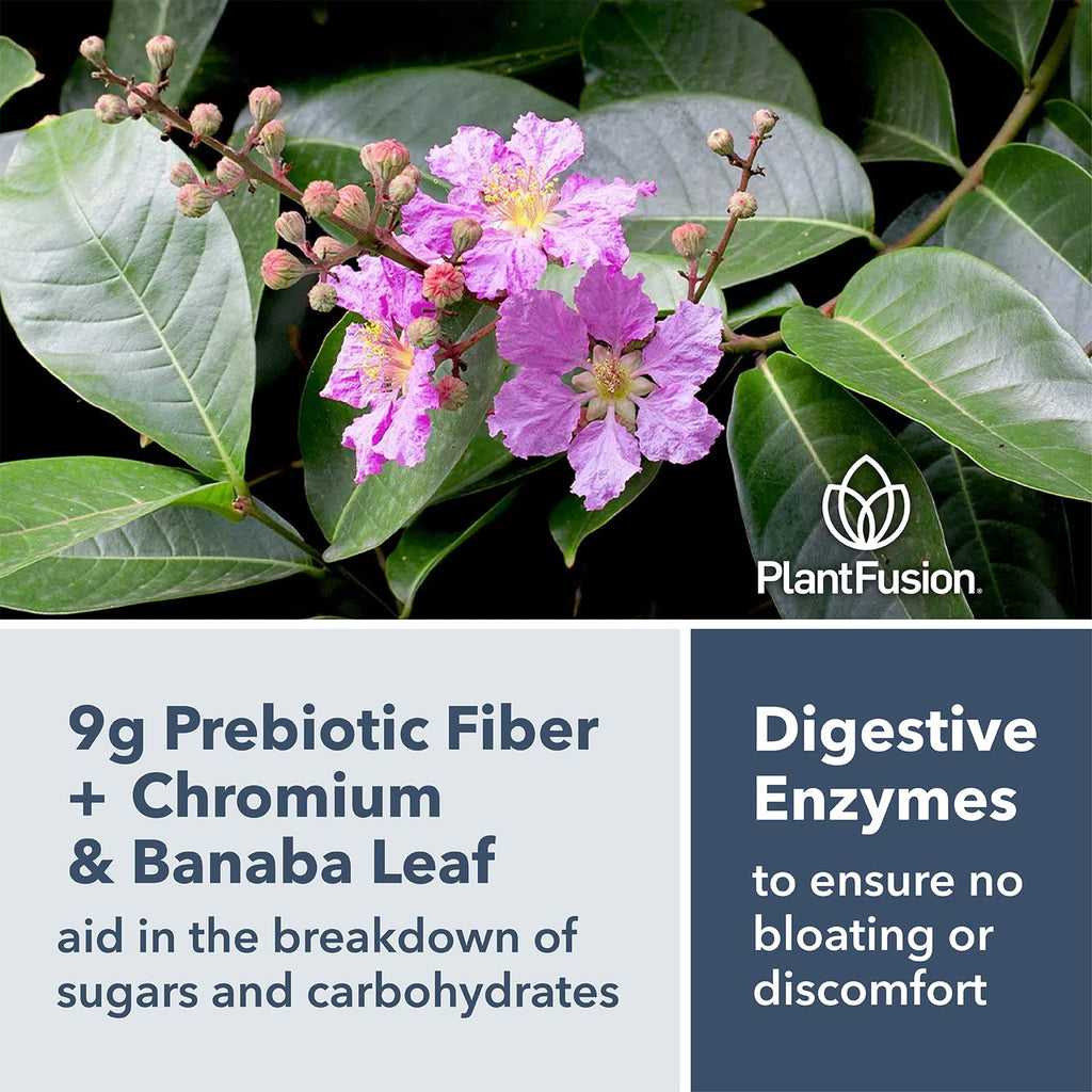 vanilla flavour plant protein blend