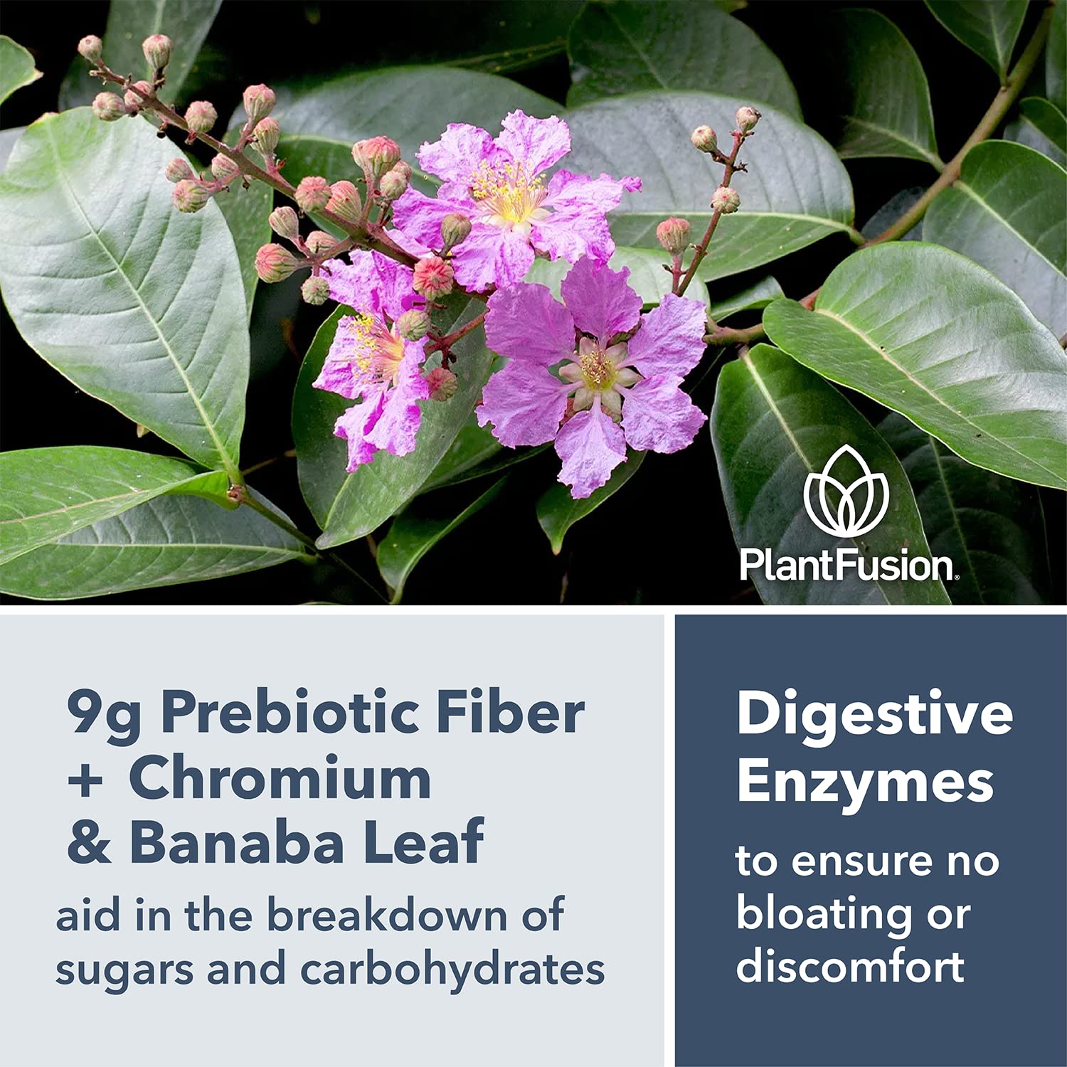 vanilla flavour plant protein blend