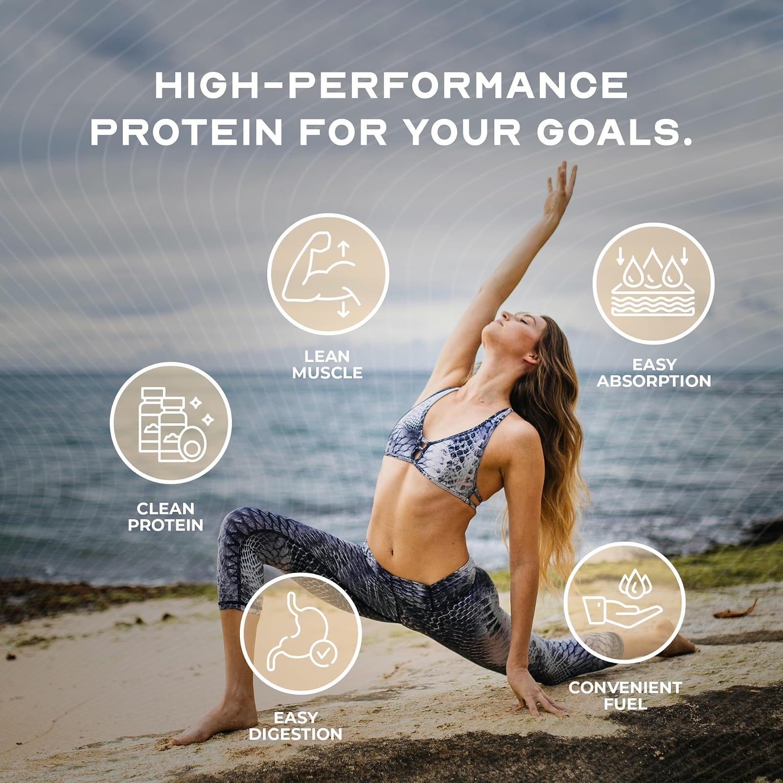 vanilla flavour protein powder