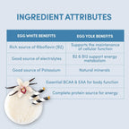 vanilla flavour protein powder